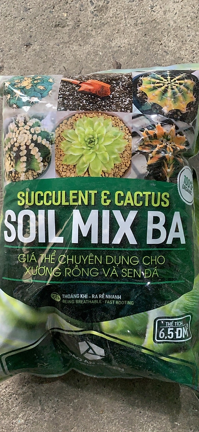 Giá thể Soil mix trồng cây xương rồng, sen đá trộn sẵn - Túi 6,5dm3