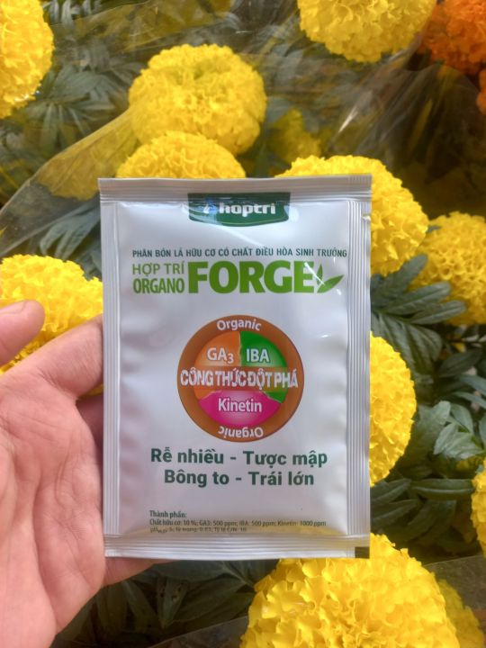 Phân bón lá hữu cơ Hợp Trí Organo Forge - Gói 25ml