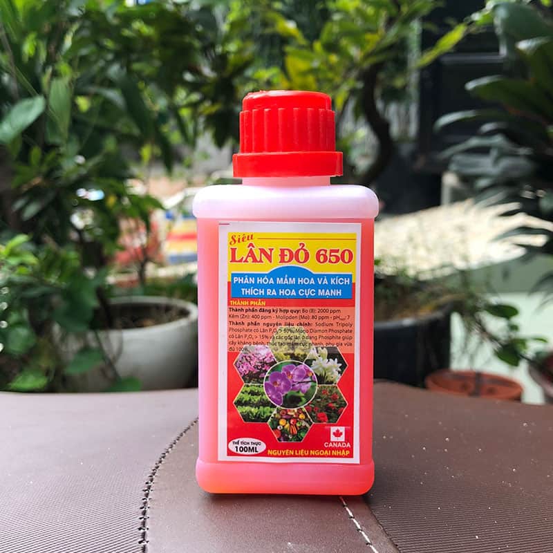 Phân Siêu Lân Đỏ 650 phân hóa mầm hoa và kích ra hoa