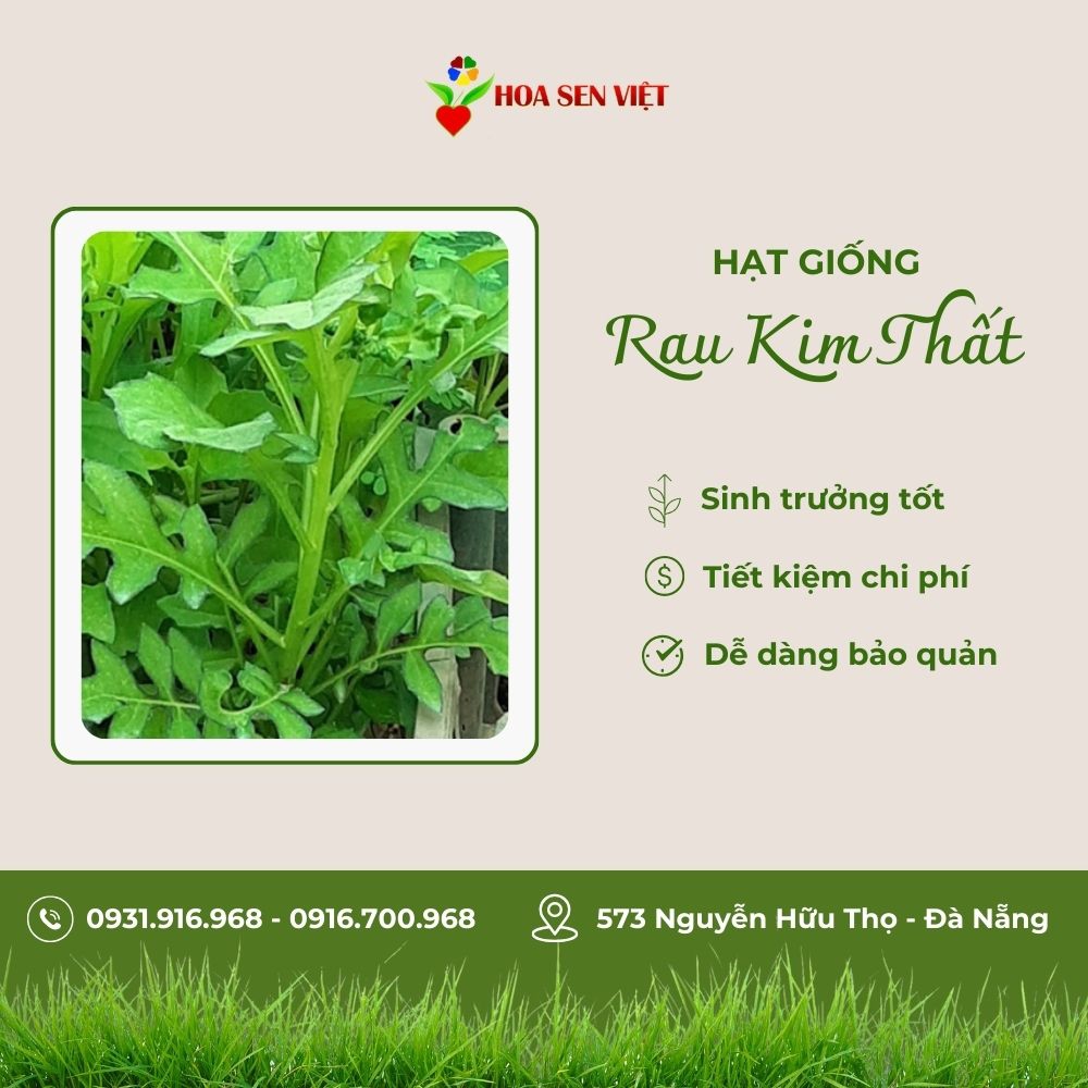 Hạt giống rau kim thất